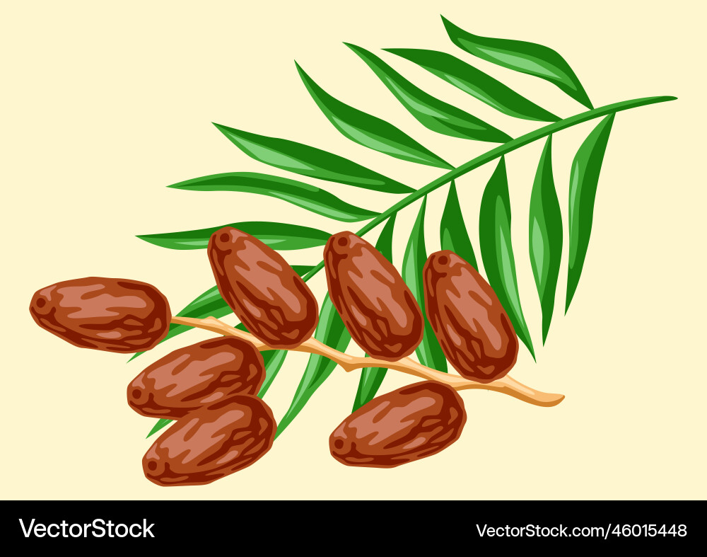 Dates fruits and palm leaves Royalty Free Vector Image