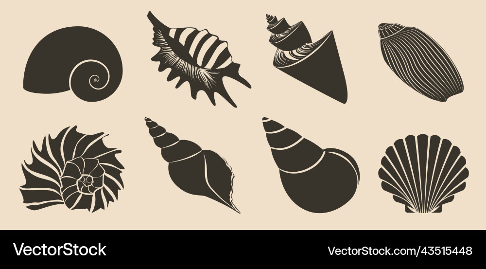 Seashell dunkel schwarz silhouettes set isoliert meer