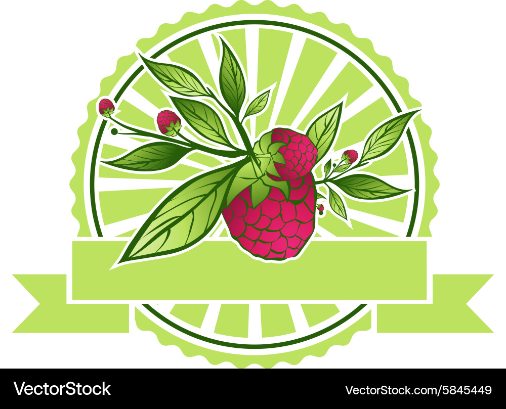 Ripe Raspberry Label Royalty Free Vector Image