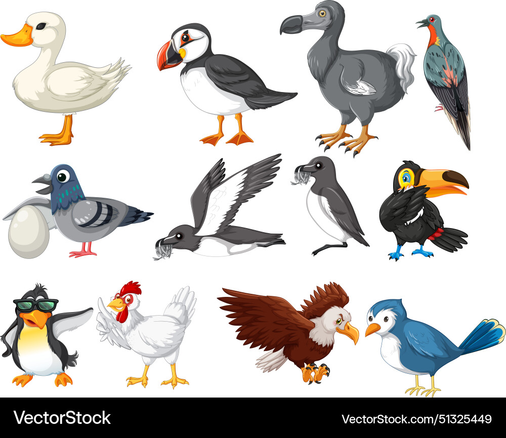 Various cartoon birds Royalty Free Vector Image