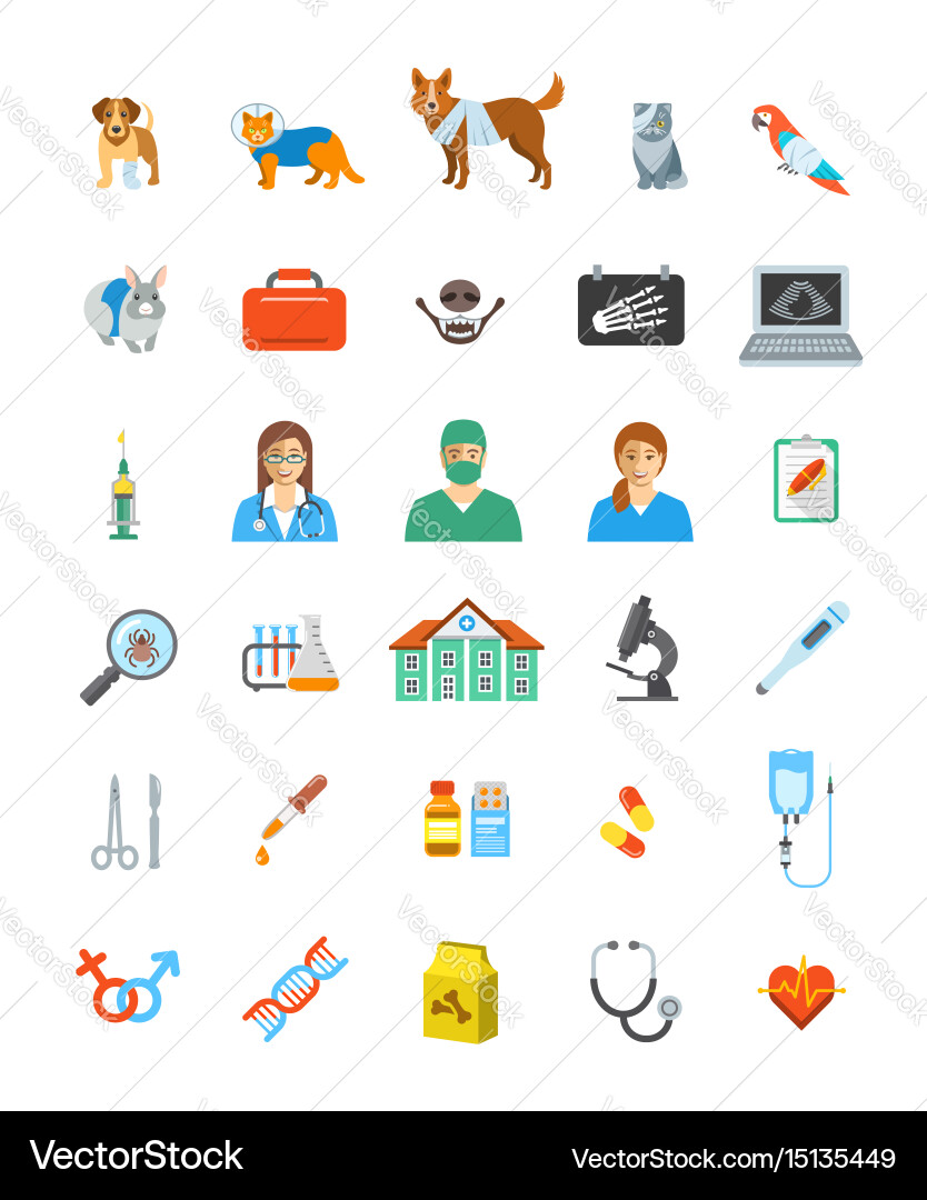 Vet clinic services icons Royalty Free Vector Image