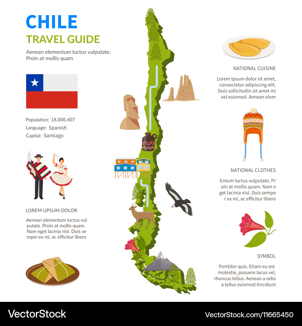 Chile infographics layout with map Royalty Free Vector Image