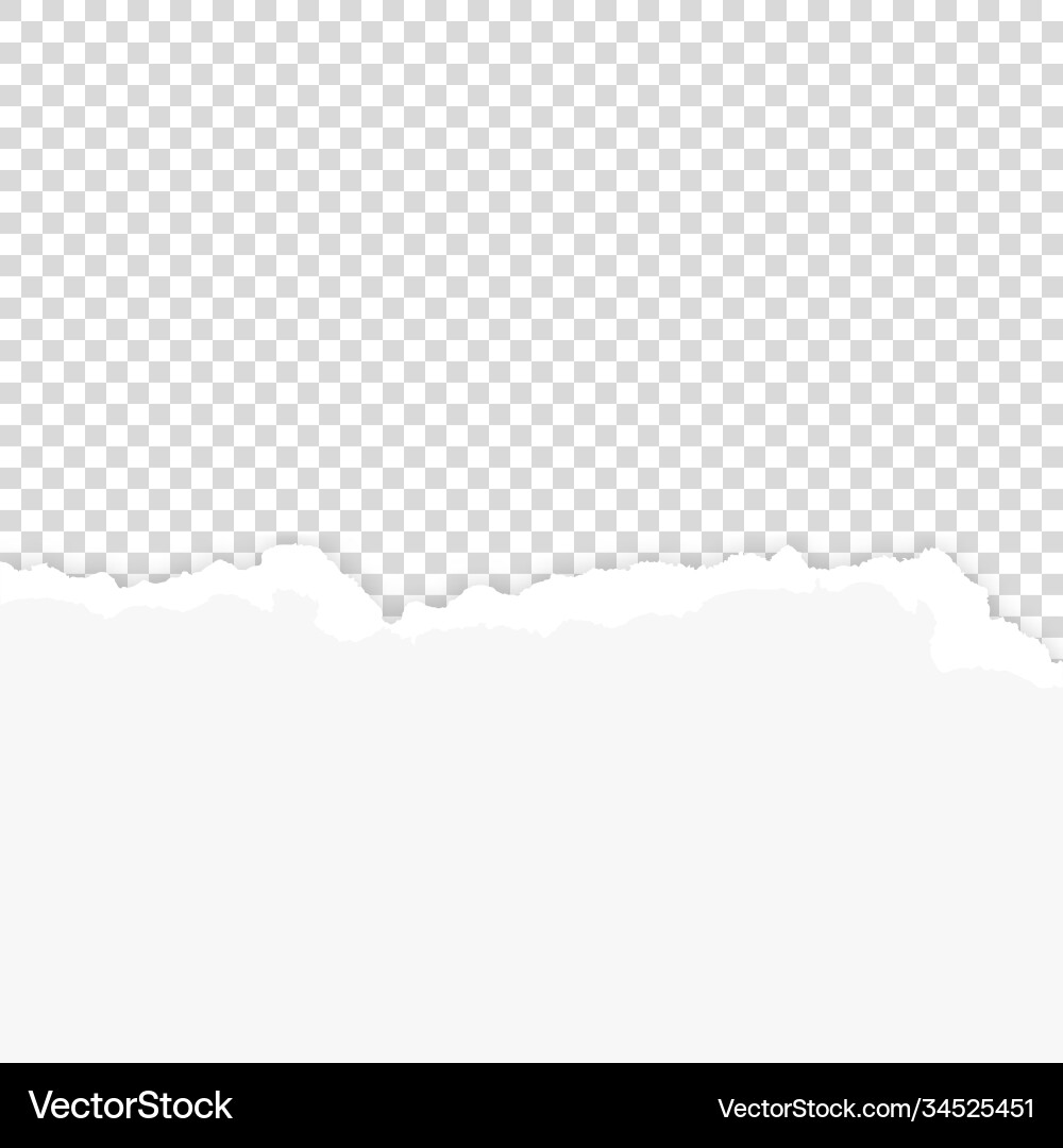 Realistic white blank torn ripped paper Royalty Free Vector