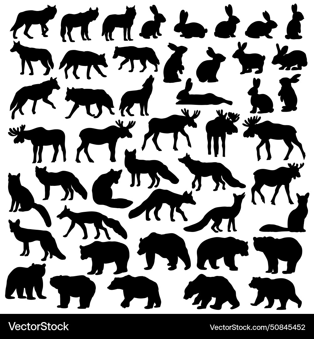 Black forest animal silhouette set Royalty Free Vector Image