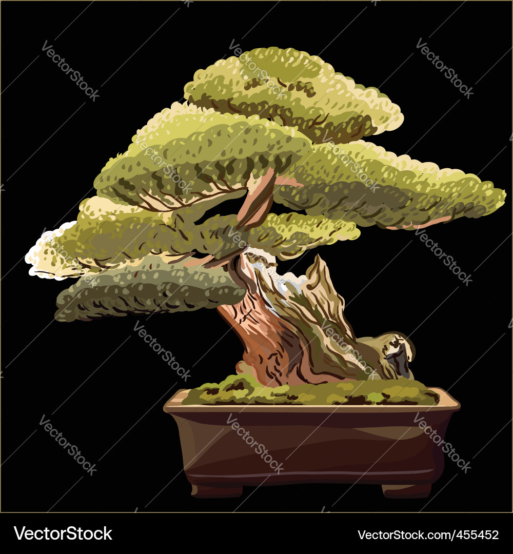 Bonsai tree Royalty Free Vector Image - VectorStock