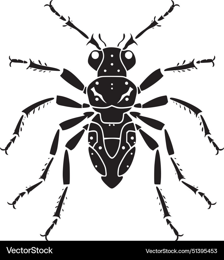 Ant Black And White Royalty Free Vector Image