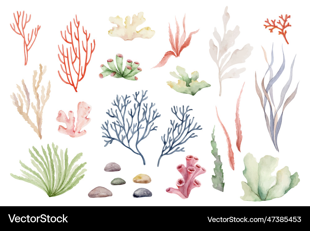 Seaweed Vector Images (over 43,000)