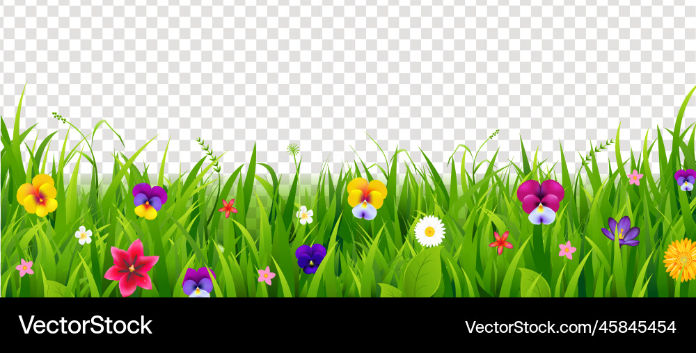 Sunny Borders Vector Images (over 1,800)