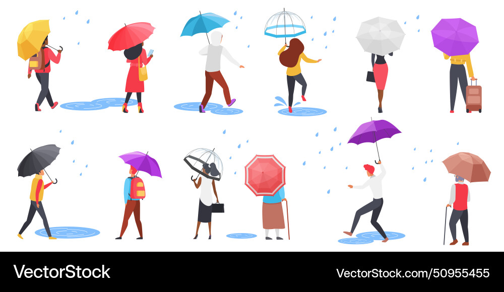People with umbrellas set back view male Vector Image