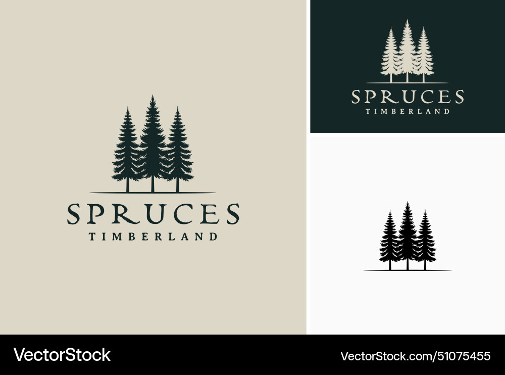 Pine evergreen fir conifer spruce cedar tree logo Vector Image