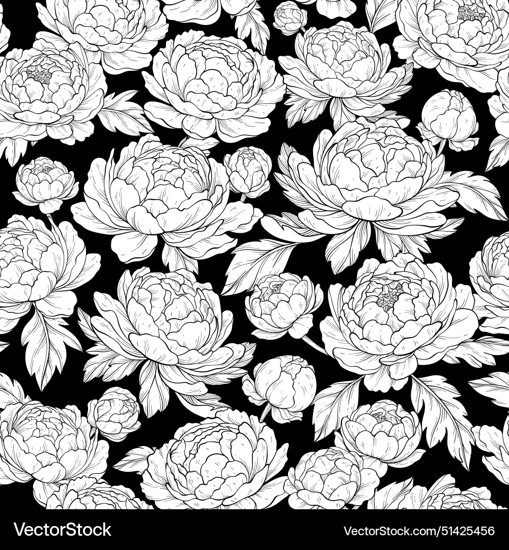 Seamless pattern with outline peony flowers Vector Image