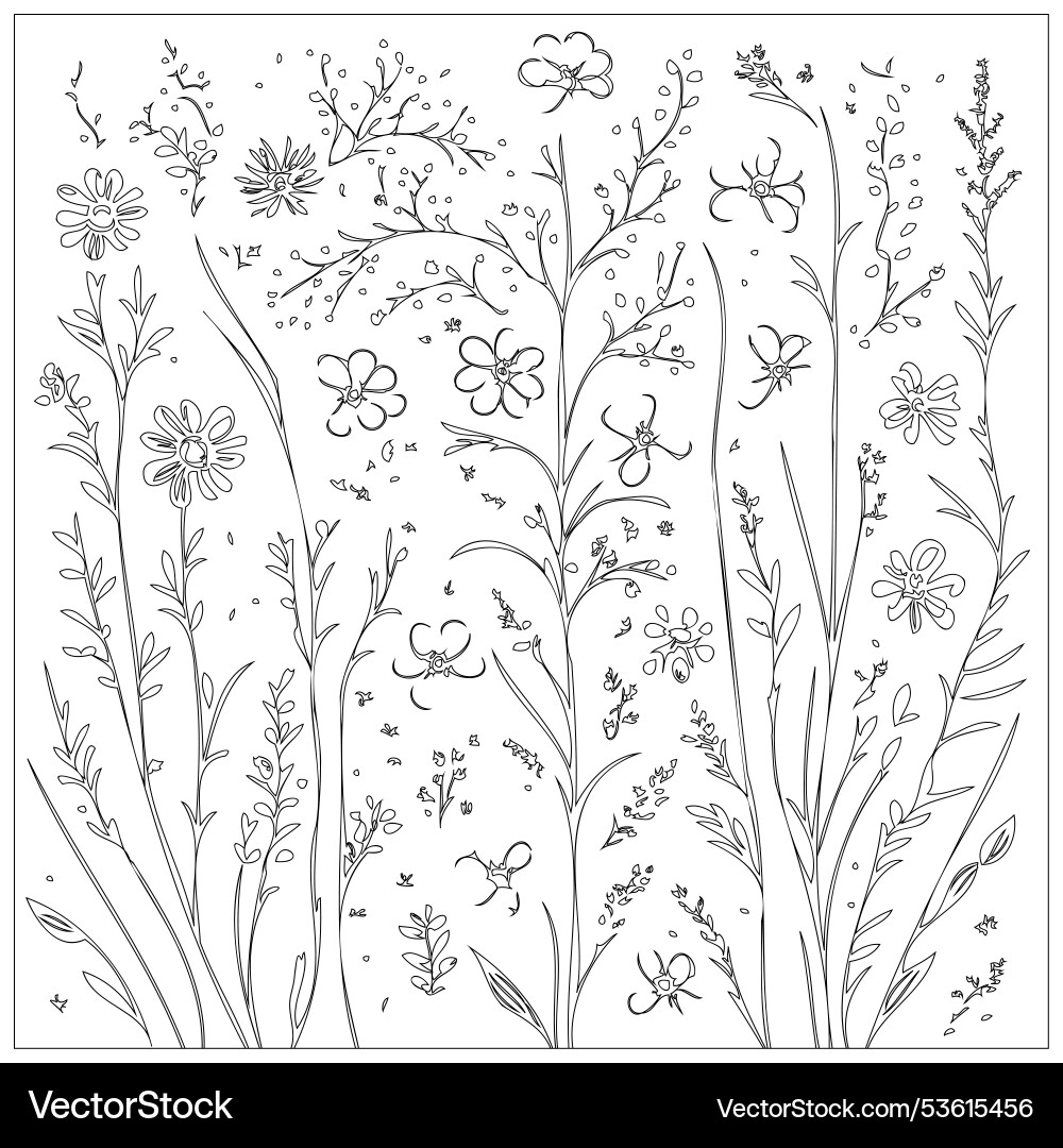 Wildflowers flower pattern outline sketch Vector Image