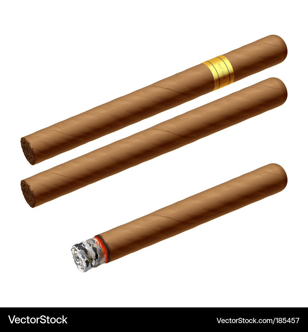 Cuban cigars Royalty Free Vector Image - VectorStock