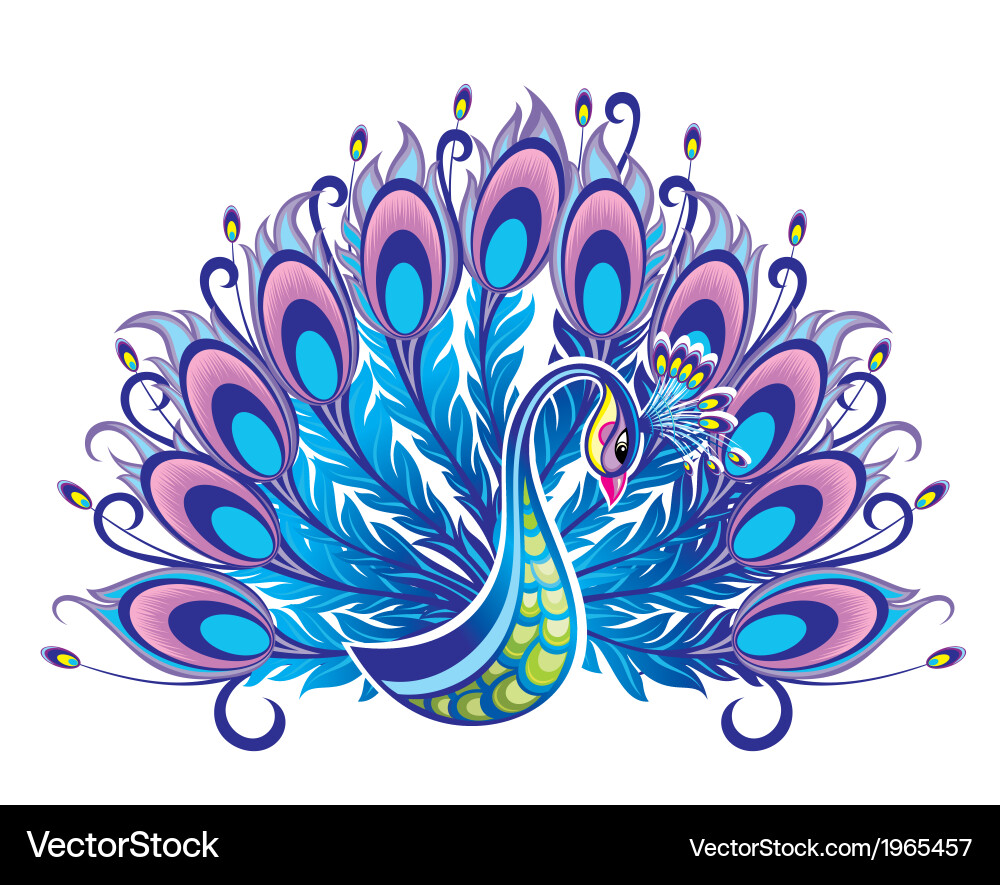 Peacock Royalty Free Vector Image - VectorStock