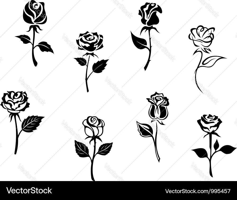 Single Rose Vector Images (over 10,000)