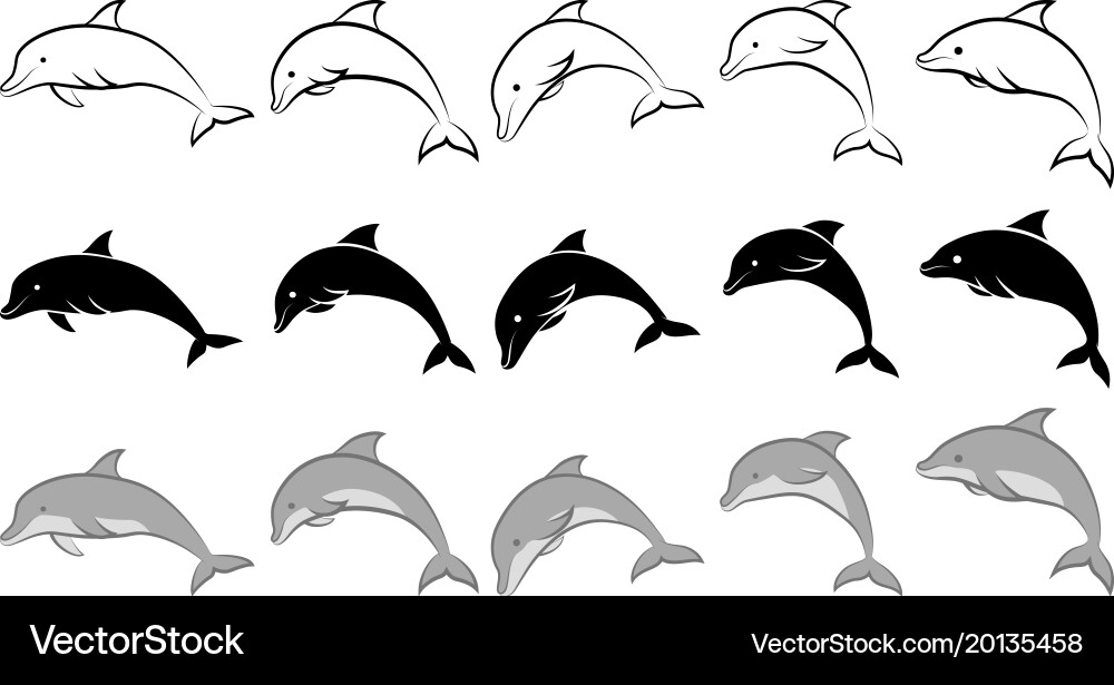Dolphin Royalty Free Vector Image - VectorStock