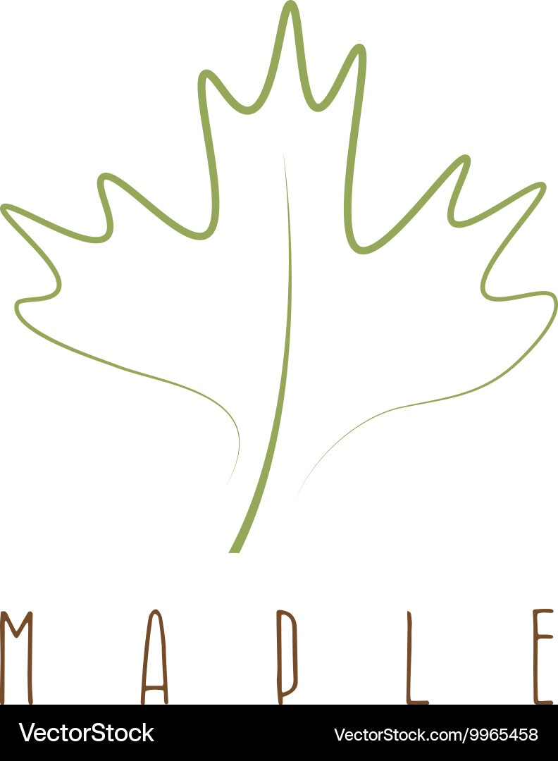 Maple leaf abstract outline design template Vector Image