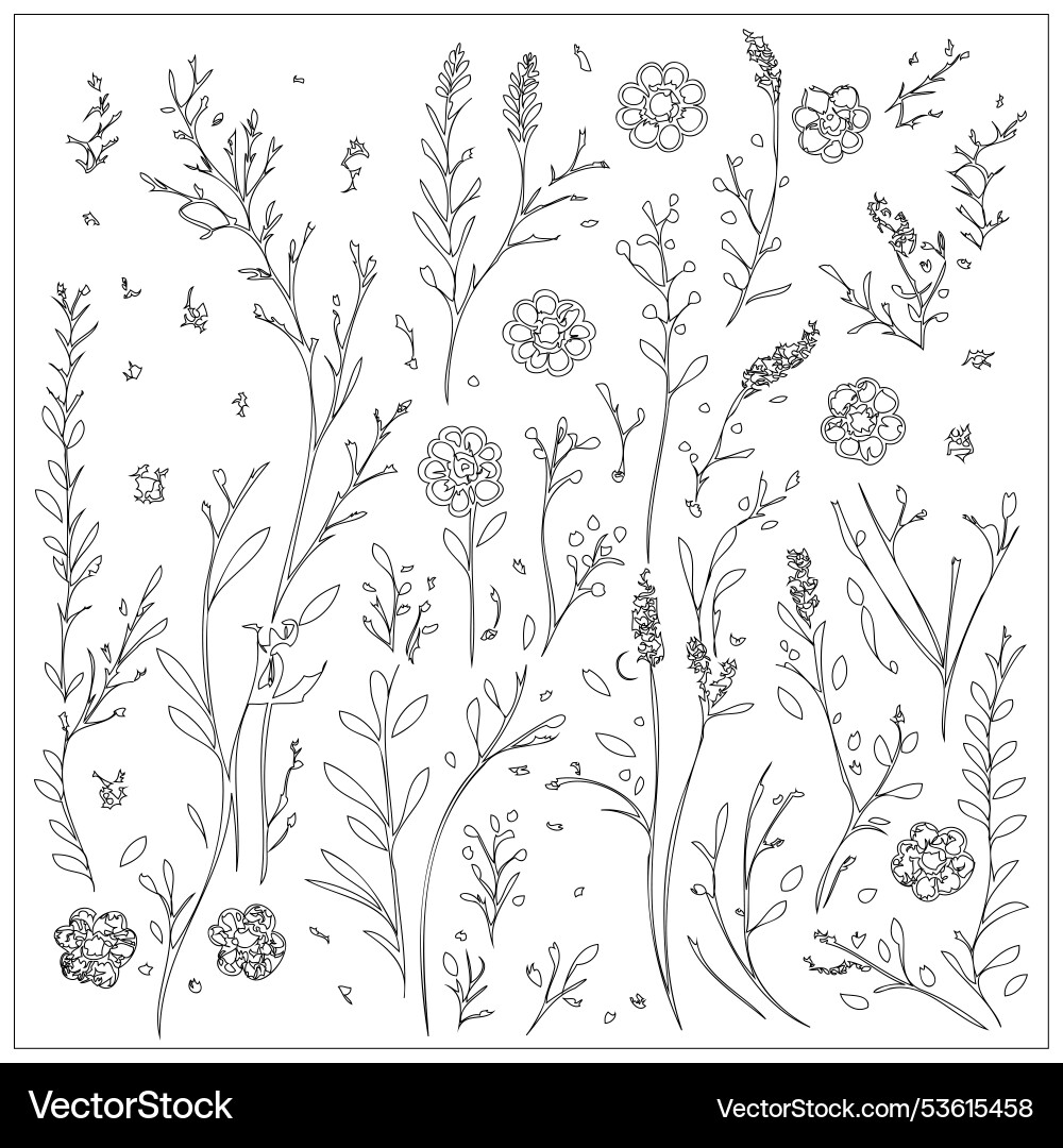 Wildflowers flower pattern outline sketch Vector Image