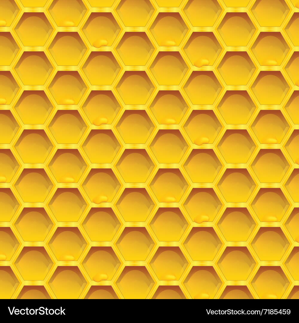 Honeycomb colorful seamless pattern honeycombs Vector Image