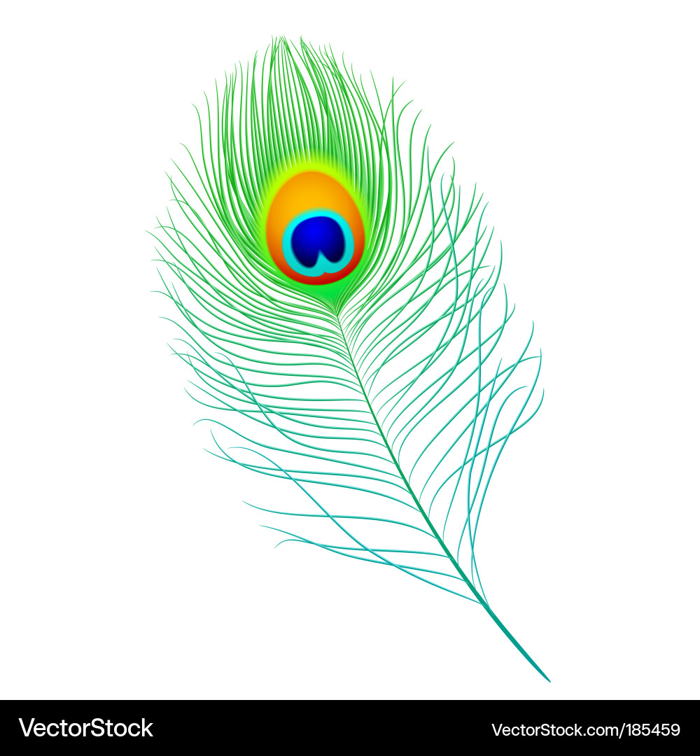 Peacock Eye Vector Images Over 690