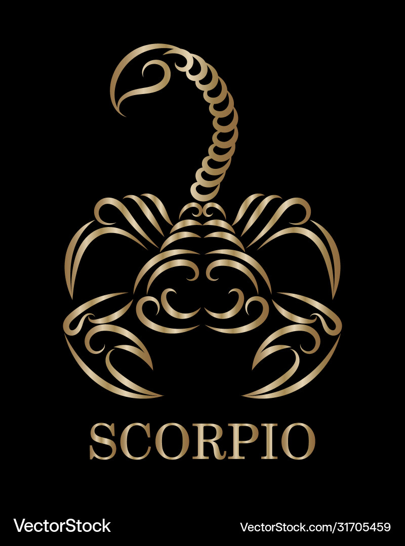 Scorpio zodiac line art eps 10 – Royalty-Free Vector | VectorStock