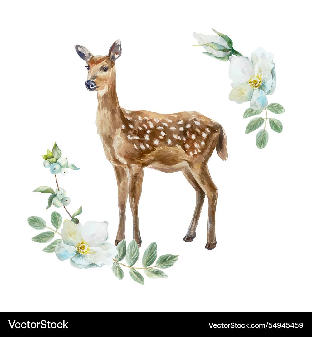 Spotted fallow deer watercolor white flowers Vector Image