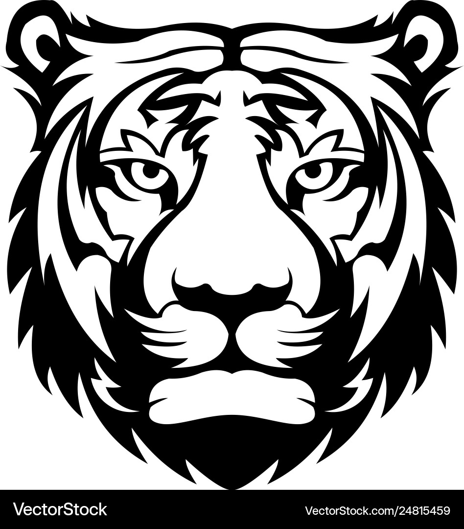 Tiger head face Royalty Free Vector Image - VectorStock