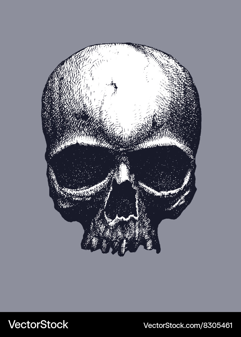 Detailed Black and White Skull Royalty Free Vector Image