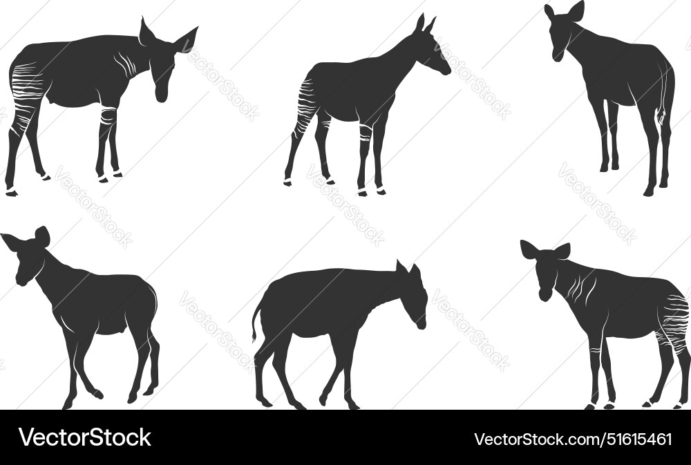 Okapi animal silhouettes svg icon Royalty Free Vector Image
