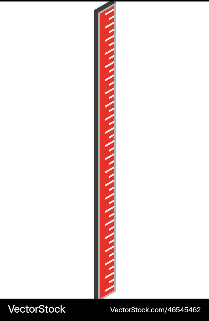 Isometric level ruler Royalty Free Vector Image