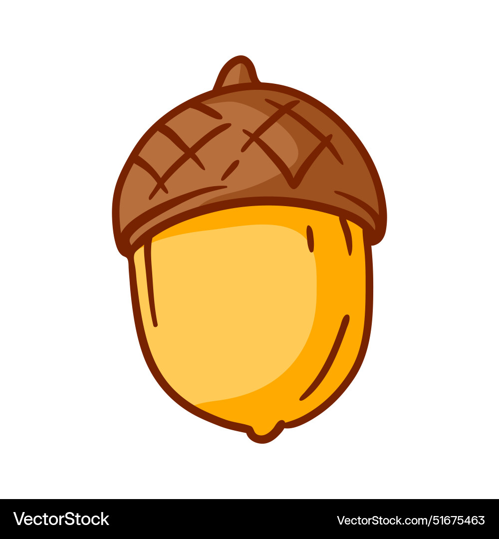 Acorn autumn natural oak tree seed Royalty Free Vector Image