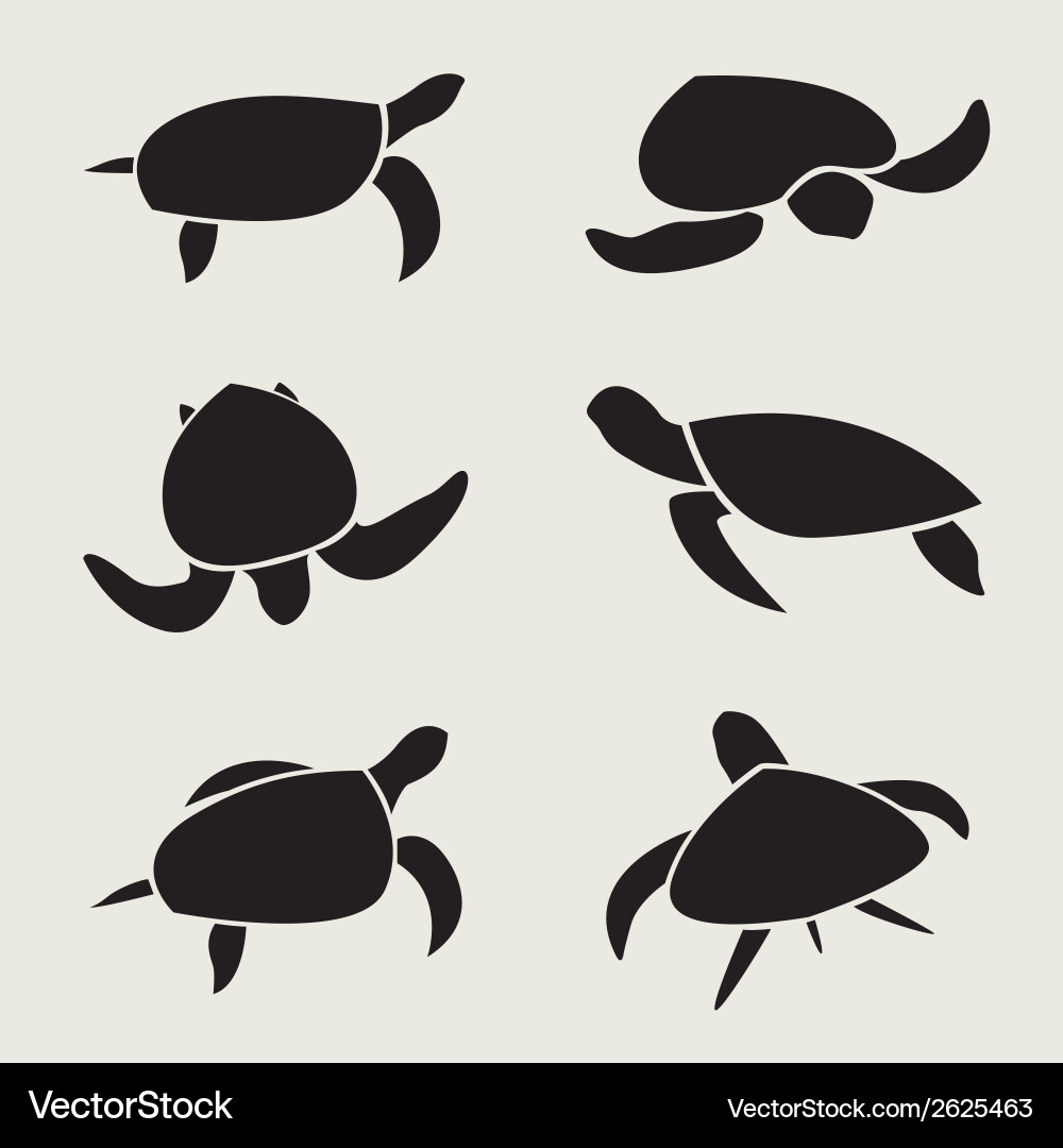 Group of turtle Royalty Free Vector Image - VectorStock