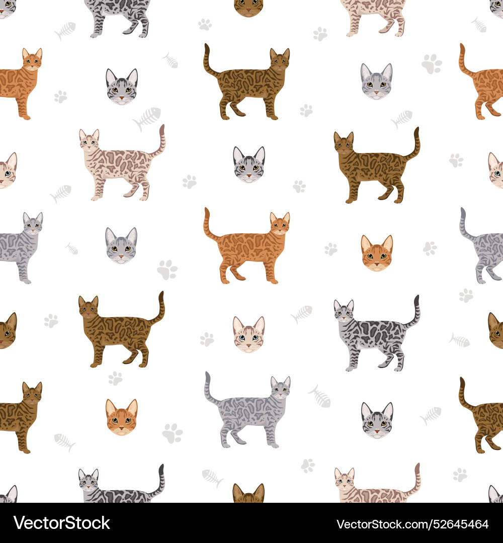 Cheetoh cat seamless pattern all coat colors set Vector Image