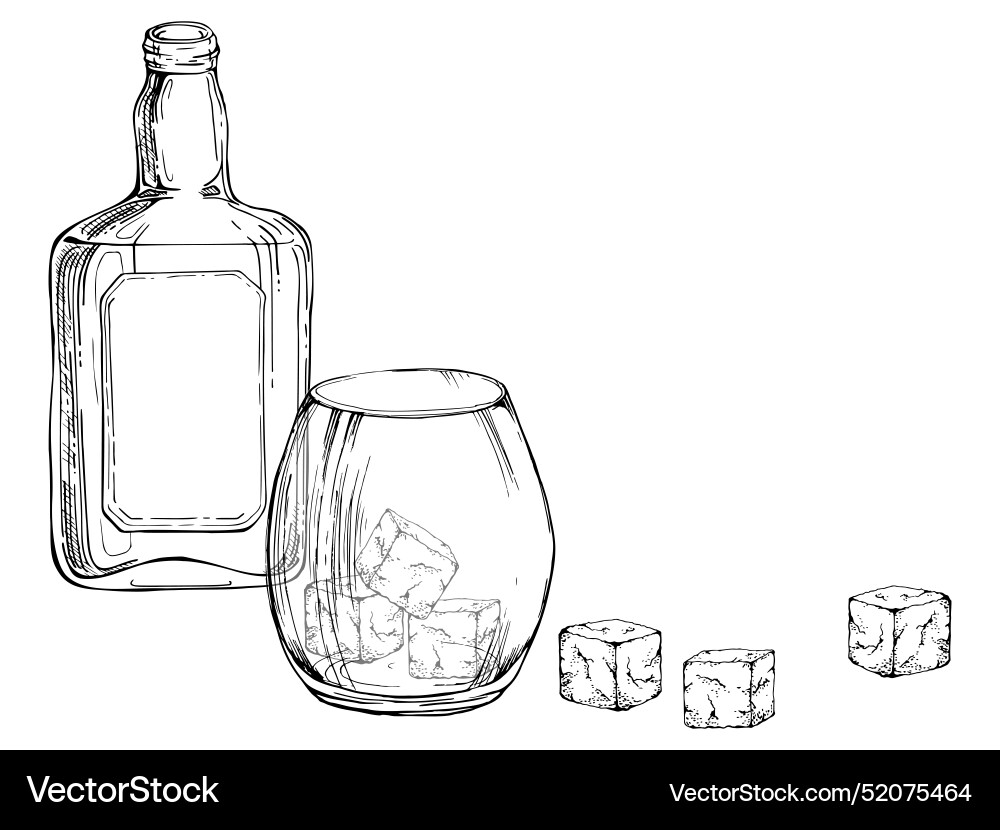 Ink hand drawn graphic sketch scotch scottish Vector Image
