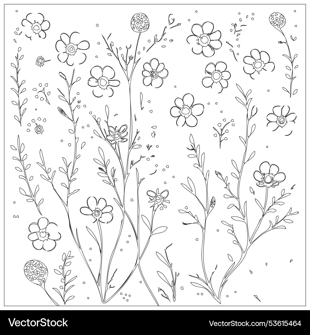 Wildflowers flower pattern outline sketch Vector Image