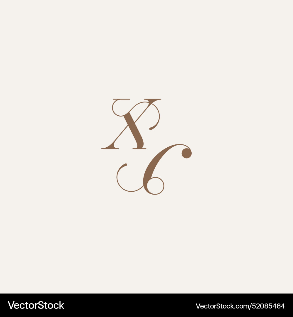 Xc letter wedding concept design ideas luxury Vector Image