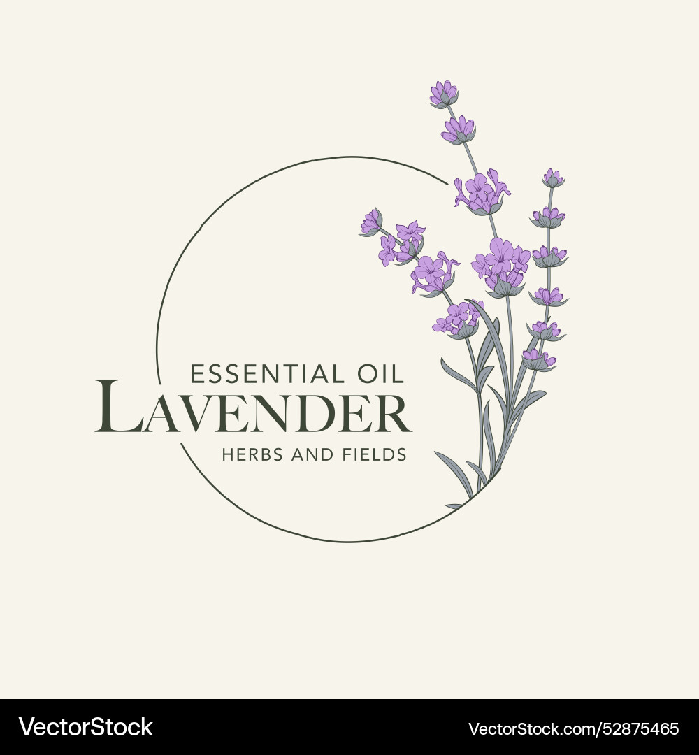 Lavender flower logo floral design label Vector Image