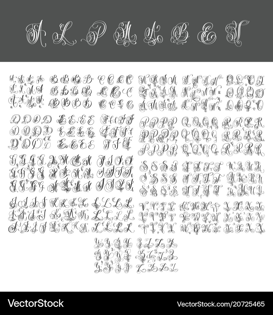 Mega set of calligraphy hand written alphabet Vector Image