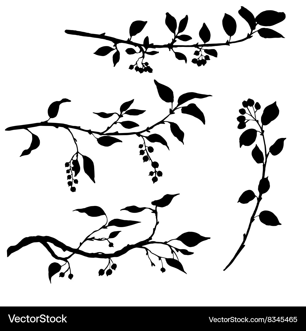 Set of tree branches with leaves and berries Vector Image