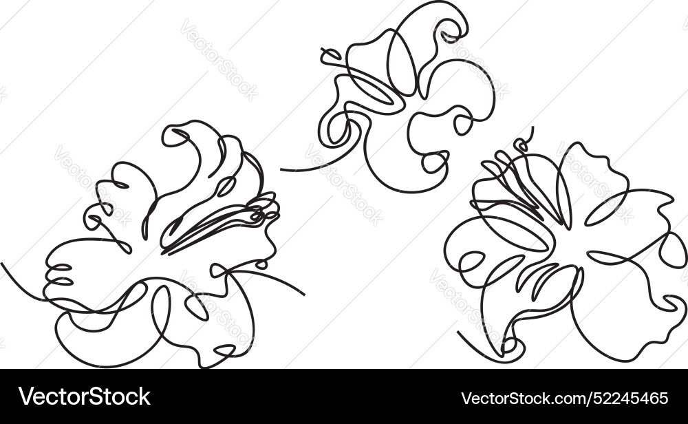 Single Line Art Lily Flower Royalty Free Vector Image