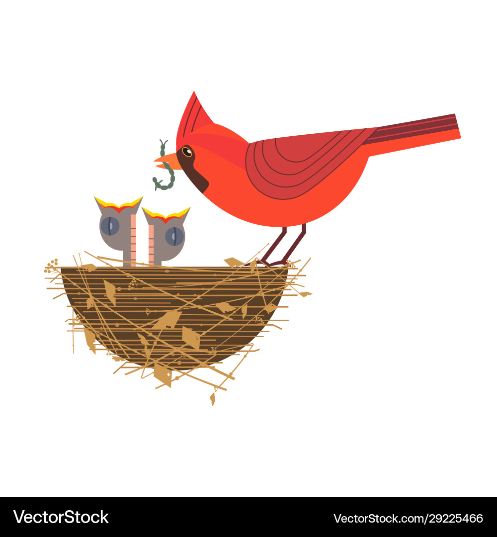 Baby birds in nest Royalty Free Vector Image - VectorStock