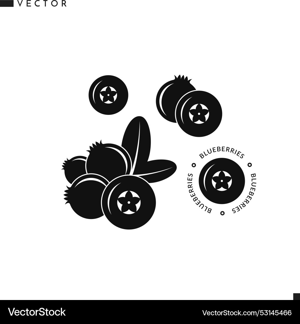 Blueberry sign Royalty Free Vector Image - VectorStock