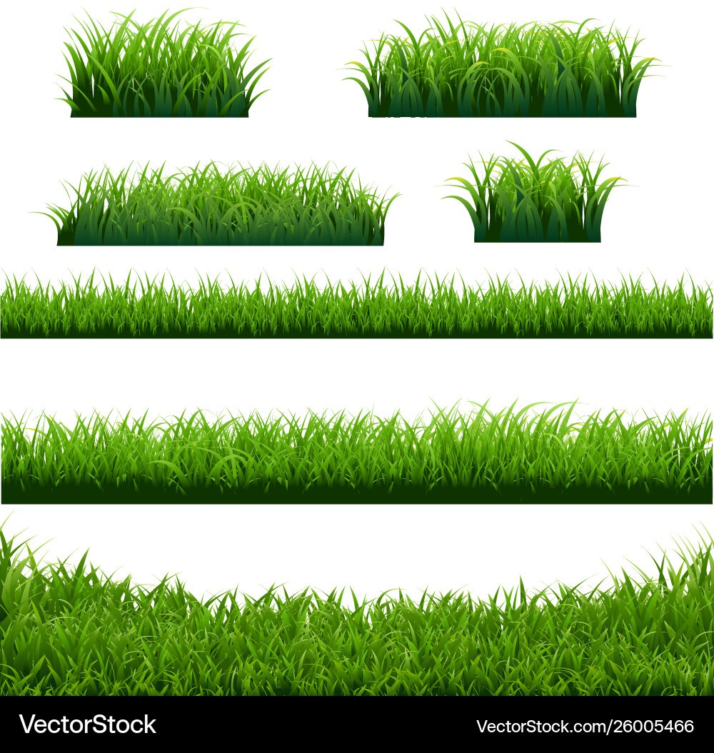 Green grass borders big set Royalty Free Vector Image