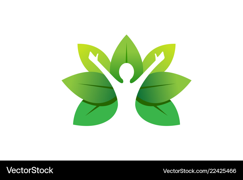 Natural Healing Leaves Logo Royalty Free Vector Image