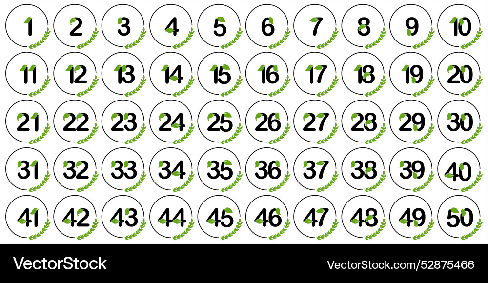Numbers 1 to 50 premium green leaf theme Vector Image