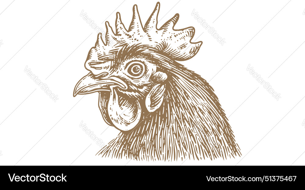 Chicken hen head vintage retro print Royalty Free Vector