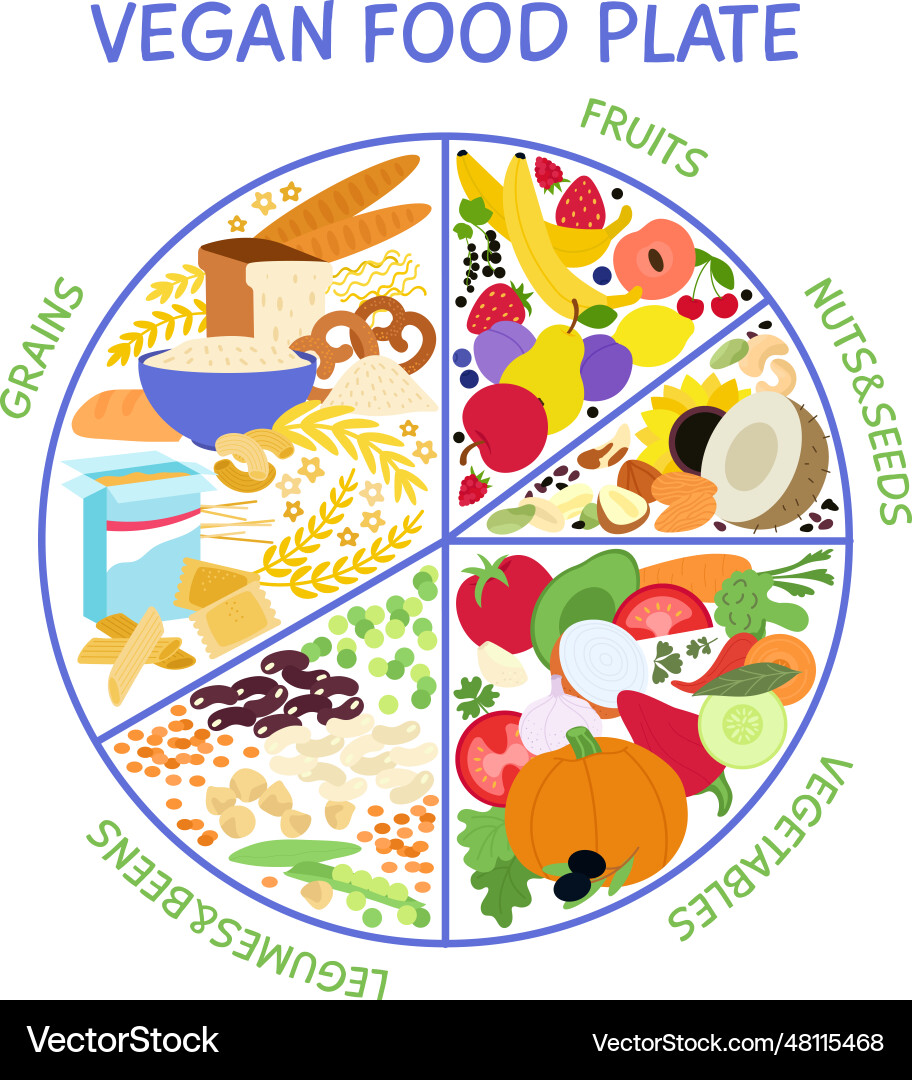 Healthy Vegan Food Plate Royalty Free Vector Image