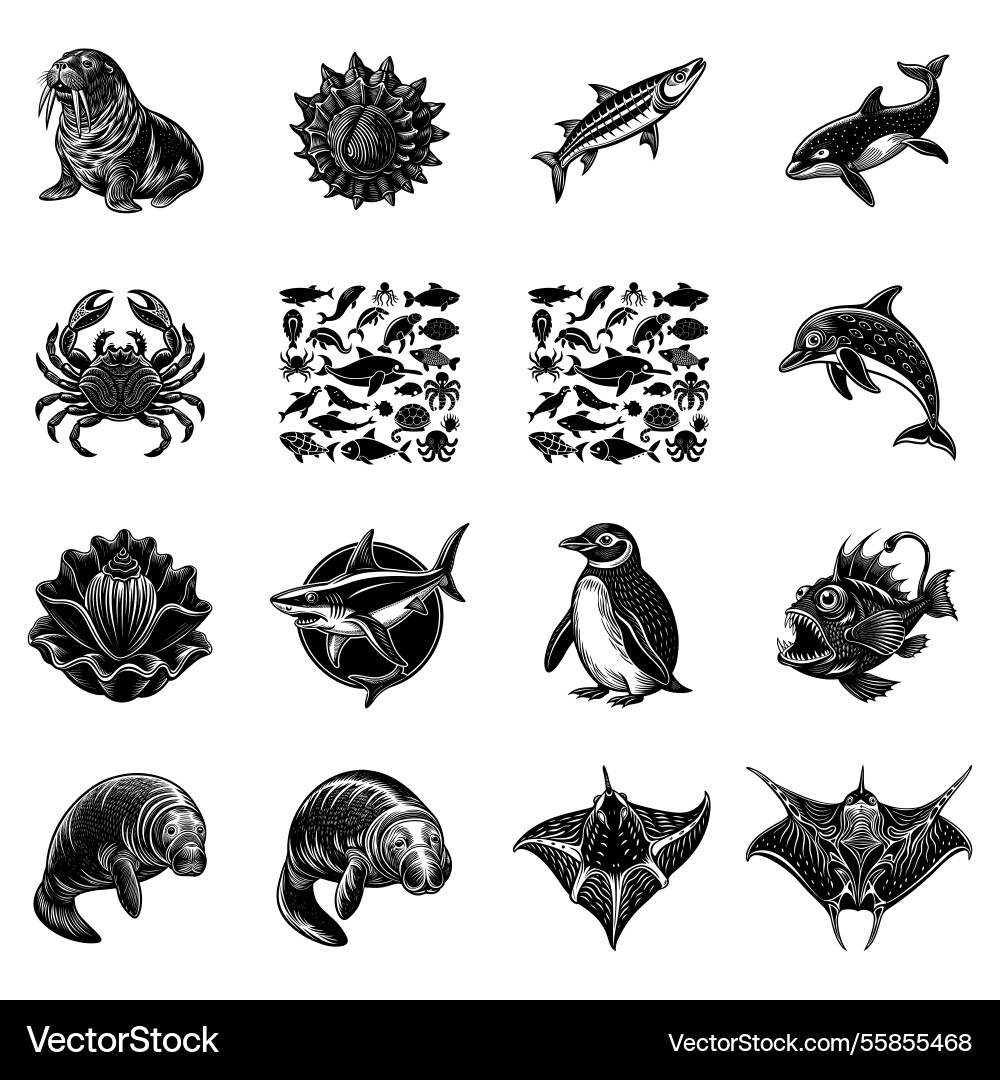 Sea animals bundle Royalty Free Vector Image - VectorStock