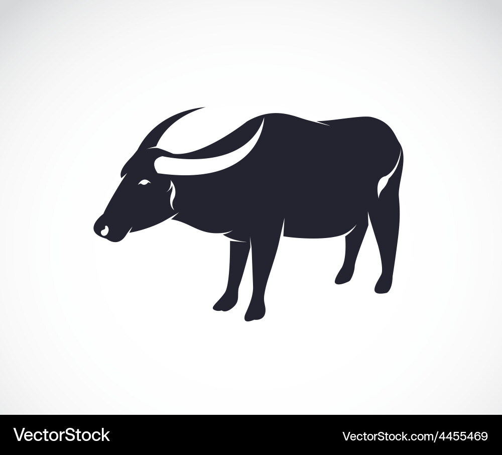 Buffalo Royalty Free Vector Image - VectorStock