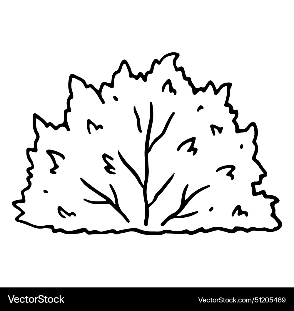 Bush isolated on a white background Royalty Free Vector